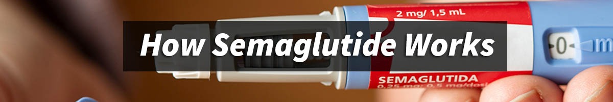 How Semaglutide Works